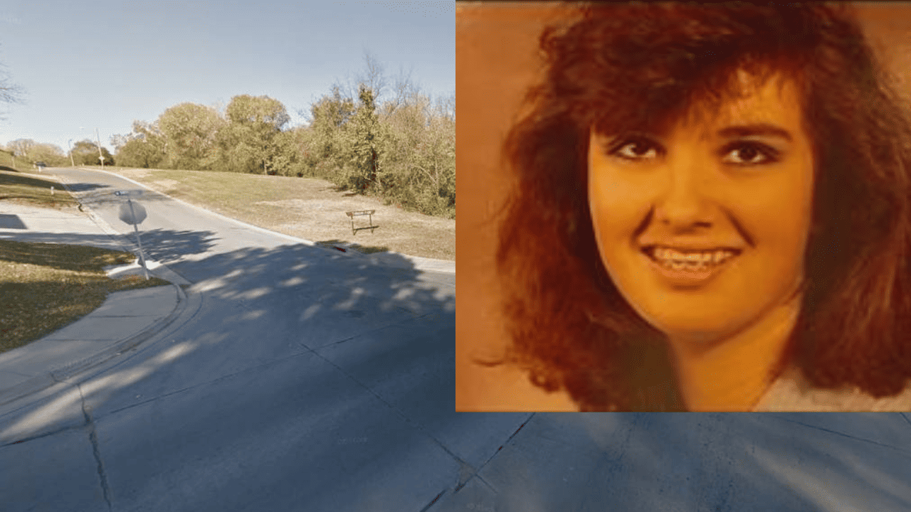 Just Seven Minutes: The Abduction of Ann Harrison - Tiegrabber